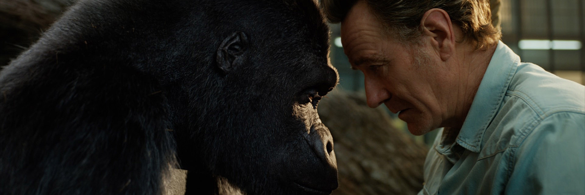 ‘Ivan’ is an Inspiring Story of Friendship – Writer of Pop Culture