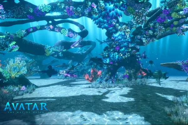 Immerse Yourself in the World of ‘Avatar’ Before the Movie’s Release ...