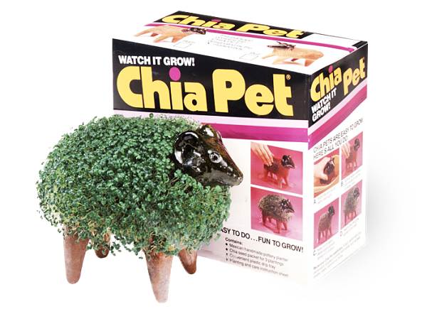 Adopt a Chia Pet for Halloween – Writer of Pop Culture